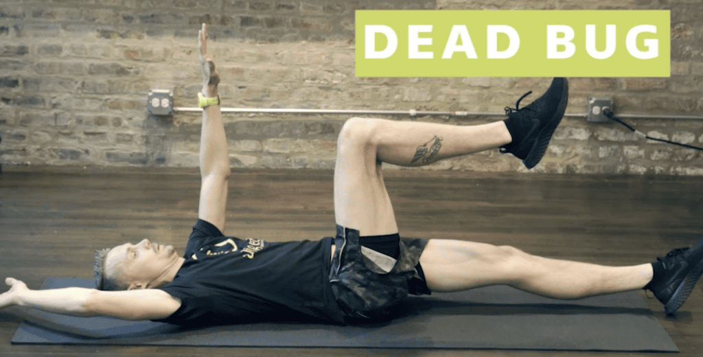 Core Exercises for Runners: Bird Dog & Dead Bug - Aligned Modern Health