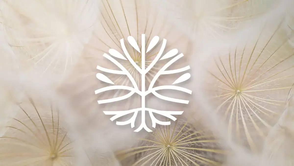 People - Aligned Modern Health