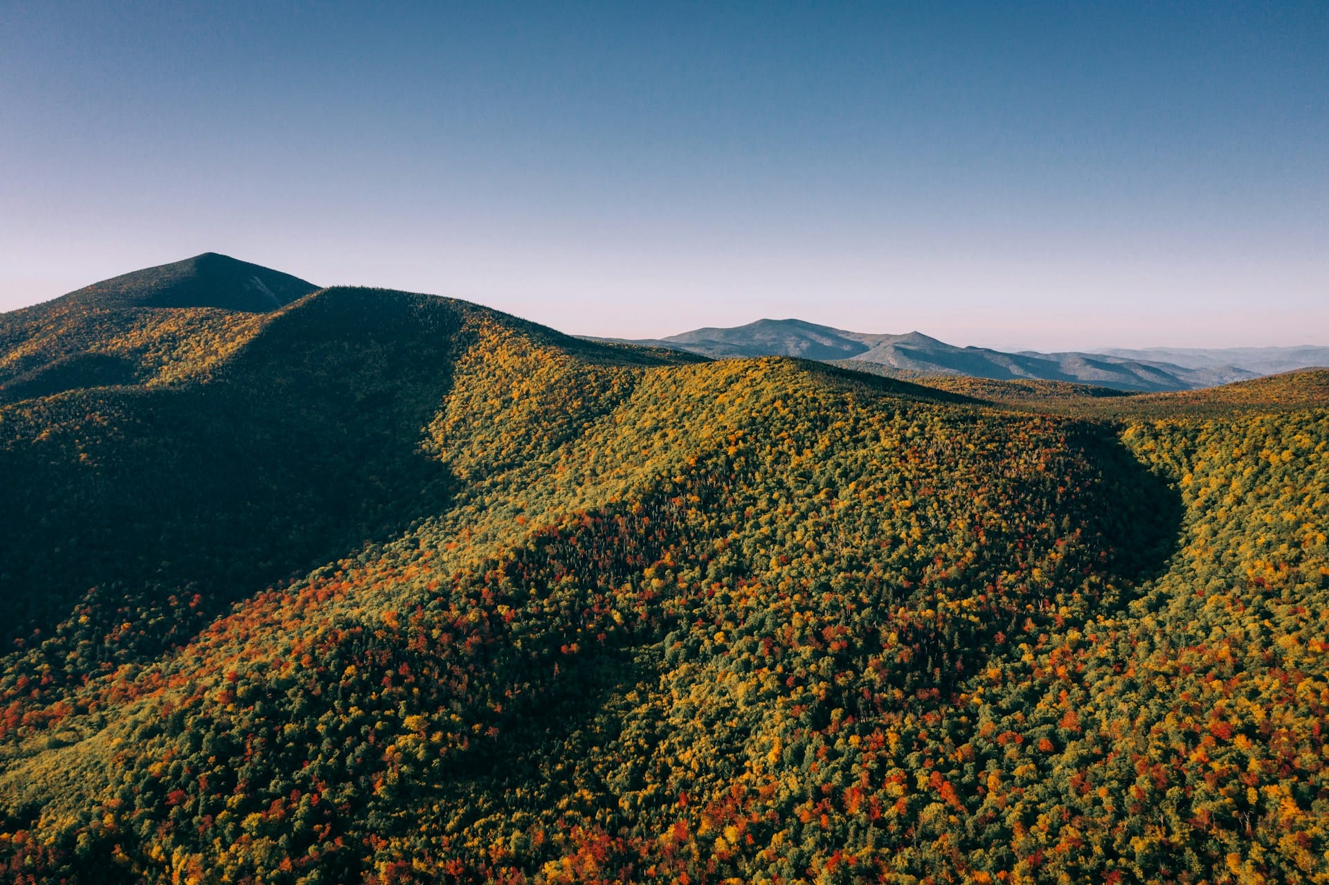 Virginia Virtual Care | Aligned Modern Health